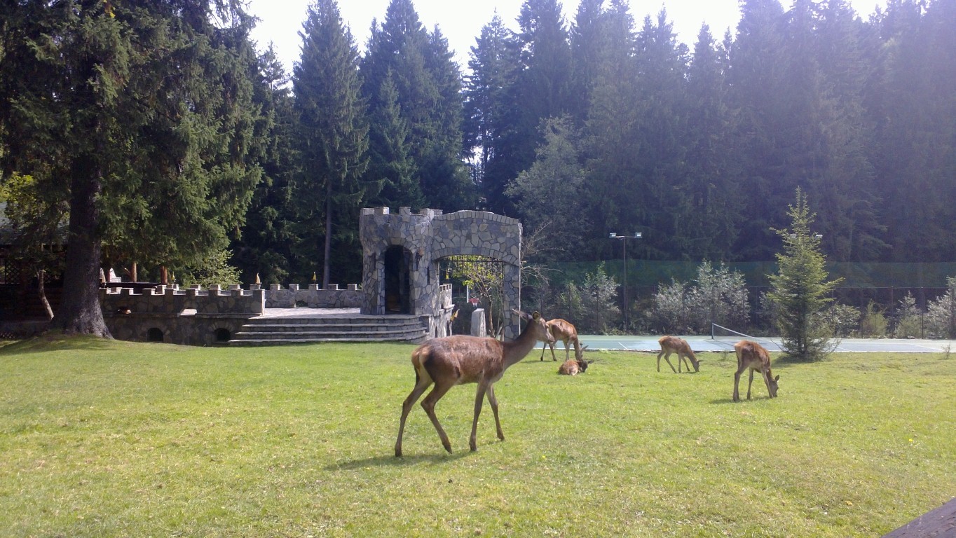 Complexul Turistic Tamina